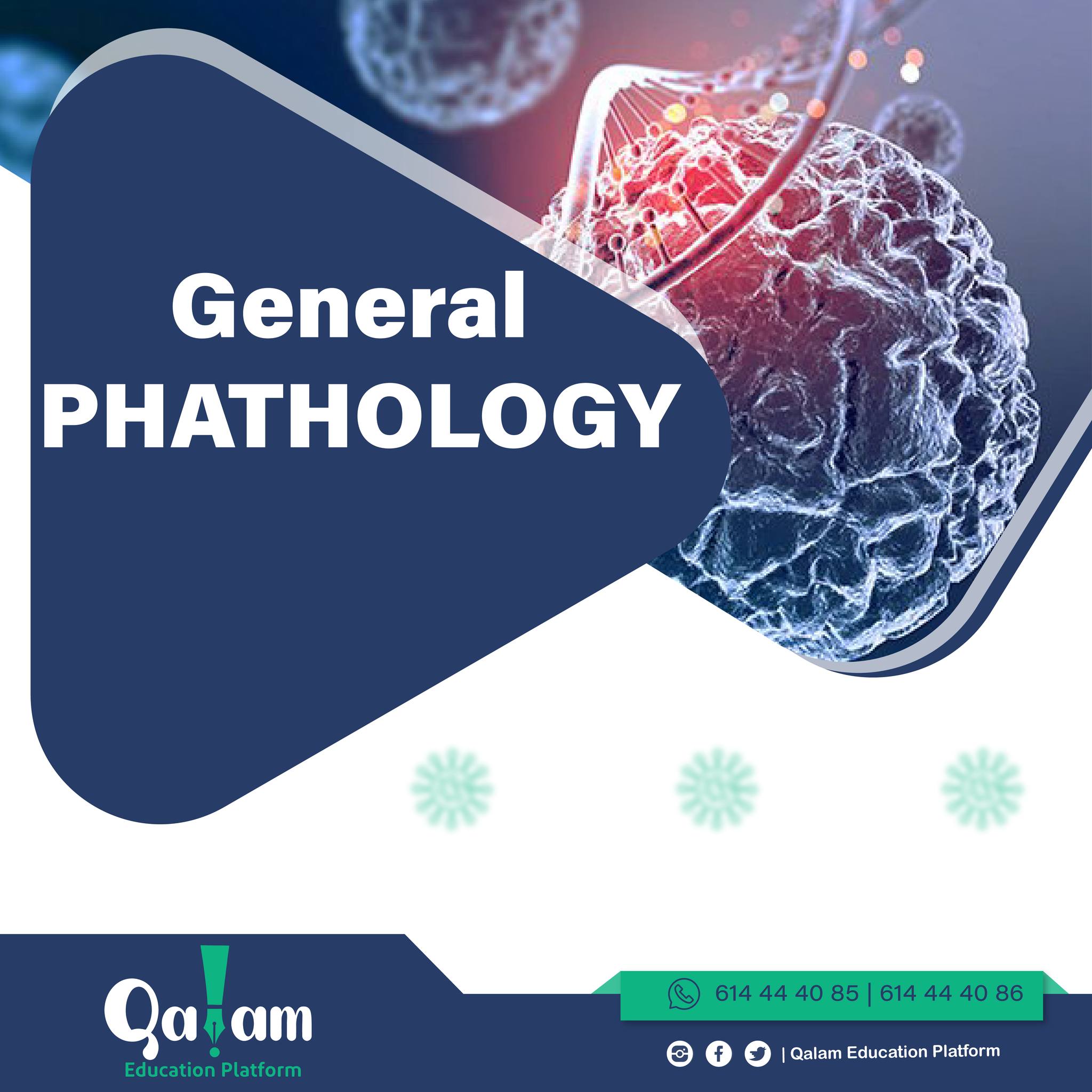 GENERAL PATHOLOGY Section3 Lecture (20241_200242110_AAUP - JENIN ...